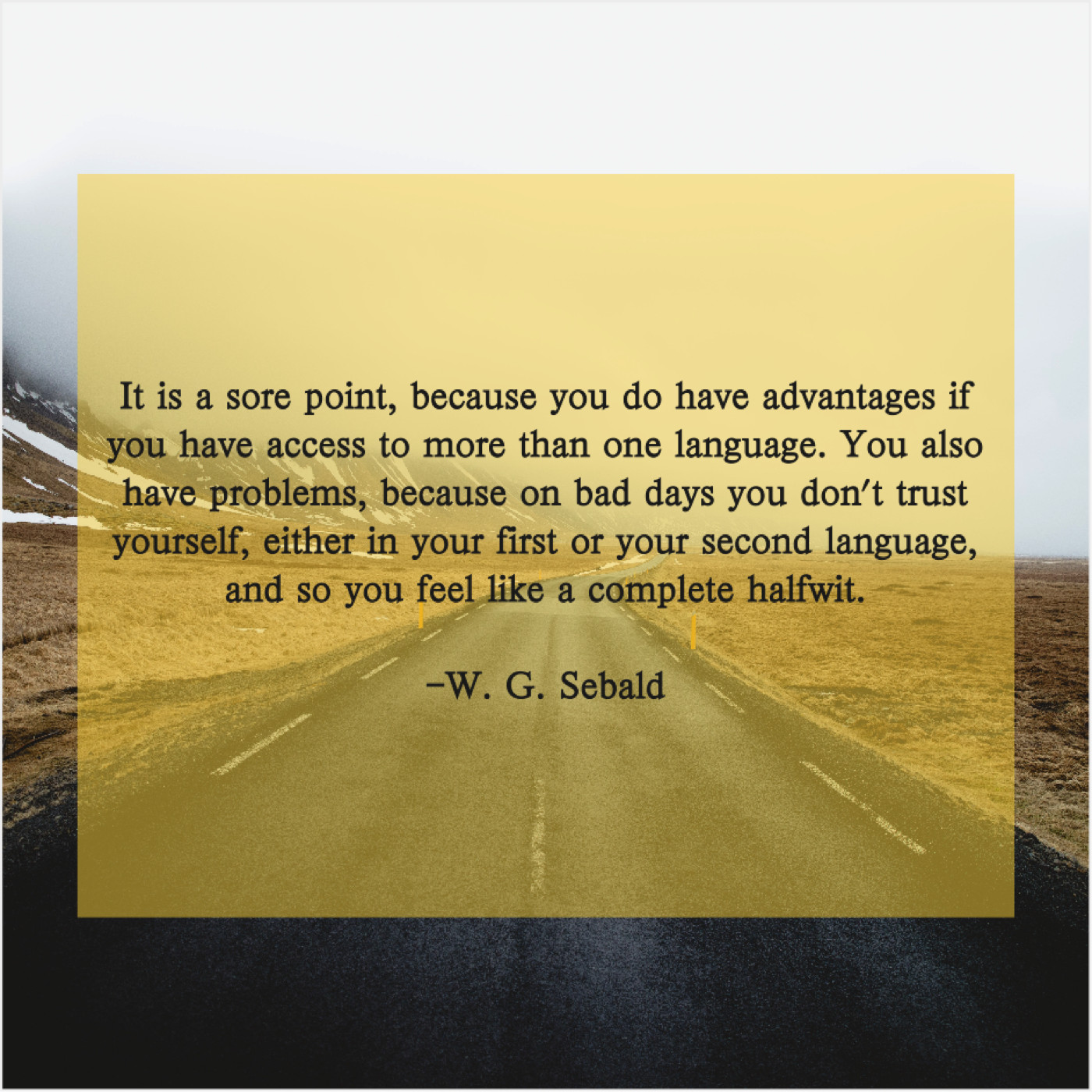 Sean Holden's Blog: W. G. Sebald – It is a sore point…