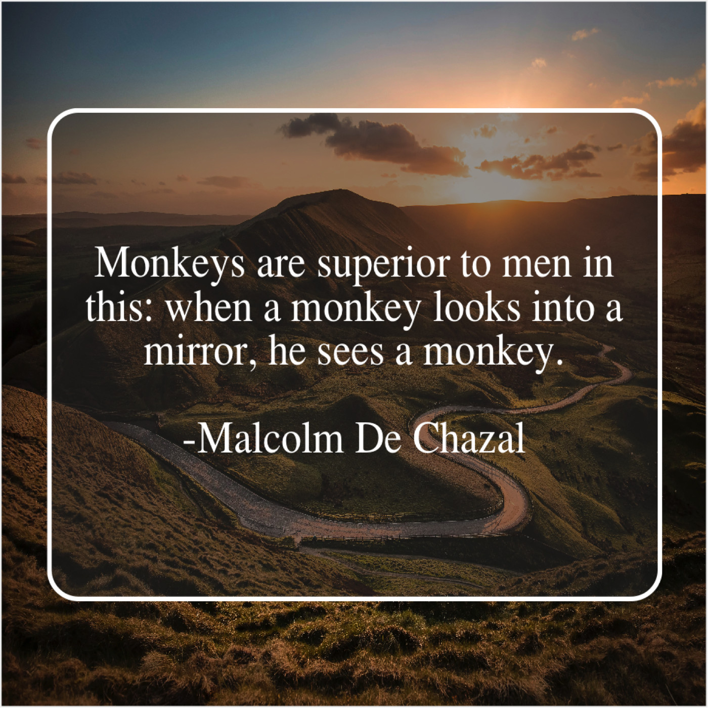 Katherine Heim's Blog: Malcolm De Chazal – Monkeys are superior to men…