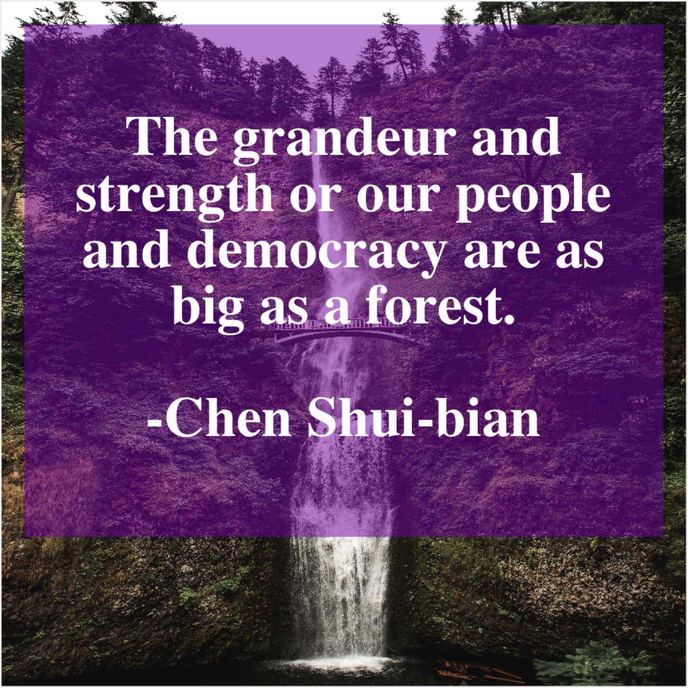 Yao Chen Quotes